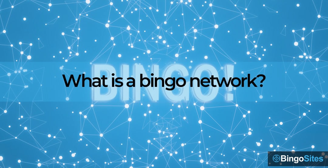 Bingo Networks - Everything You Need To Know