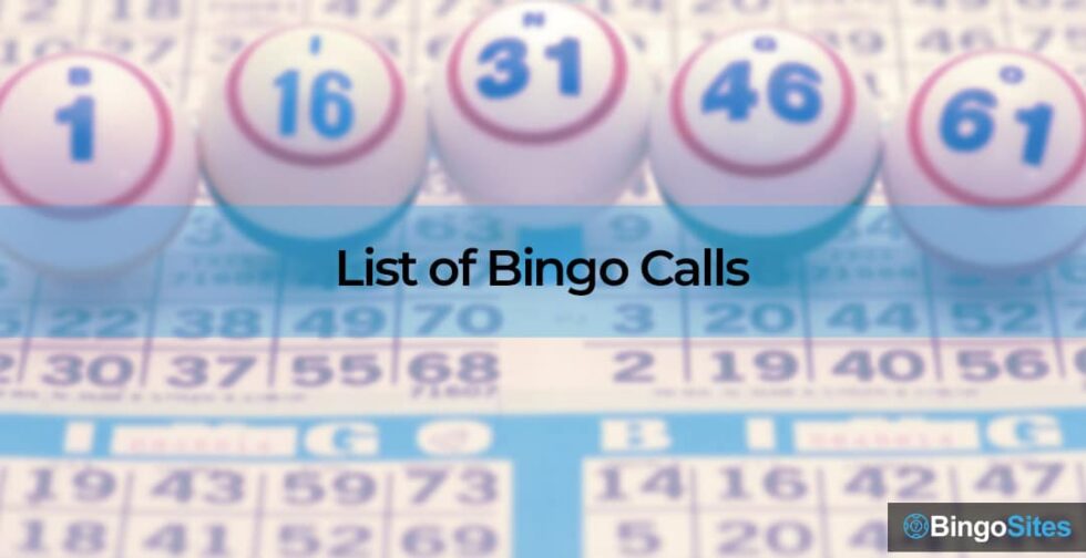 Bingo Calls | Read Our Ultimate Guide On Bingo Calls